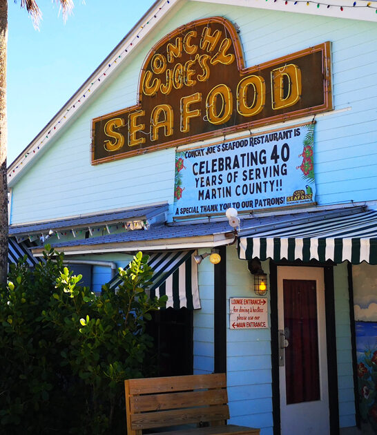 restaurant florida fried calamari ftr