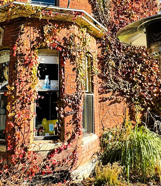 restaurant iowa serve panini ftr