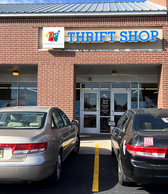 rethink new mexico shop ftr