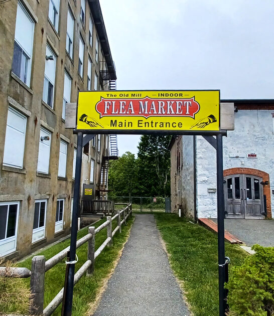 rhode island buys bags ftr