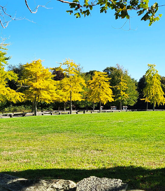 rhode island nature park ftr