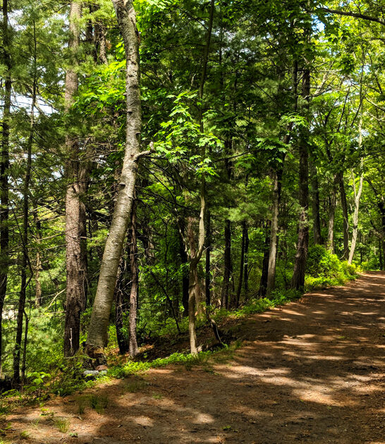 rhode-island-state-park-FTR