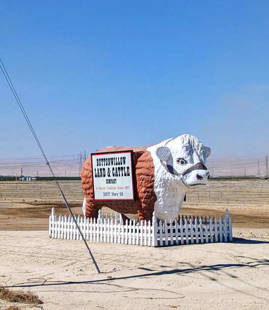roadside attraction california enormous ftr