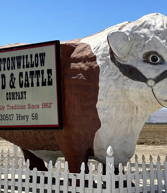 roadside attraction california fascinating ftr