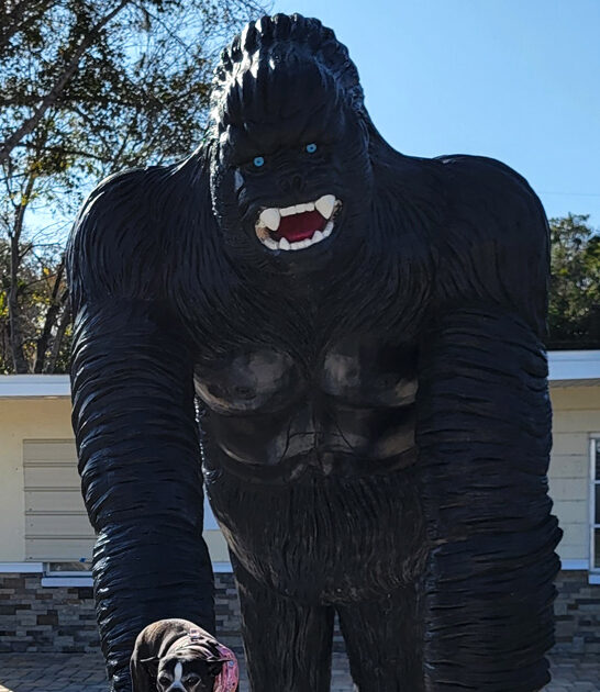 roadside attraction fascinating florida ftr