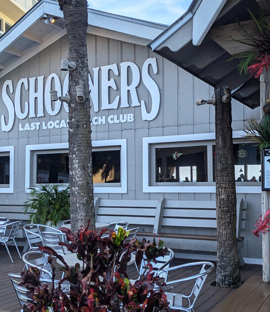 sandwich restaurant grouper florida ftr