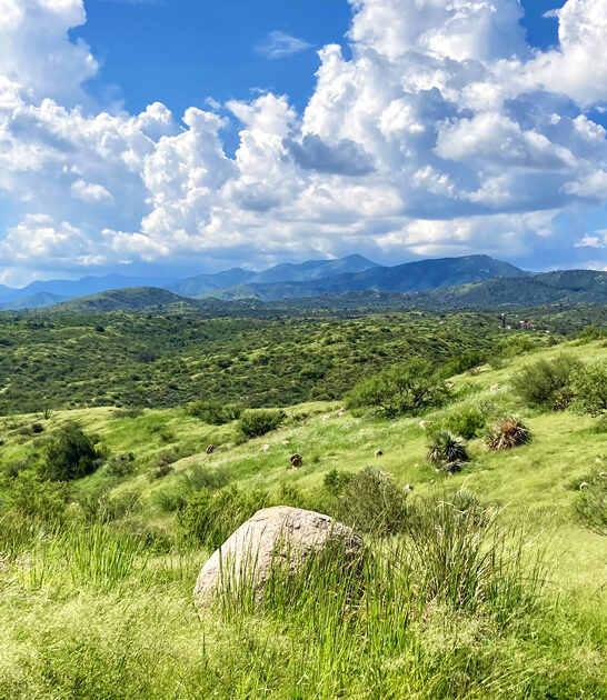 scenic hidden park arizona FTR