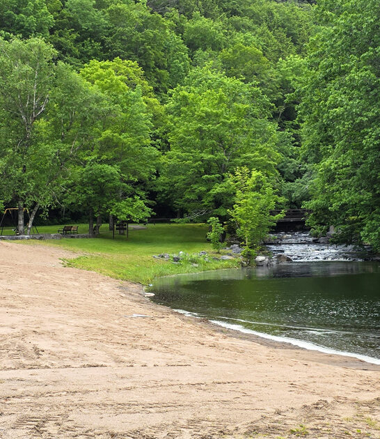 scenic park new york ftr