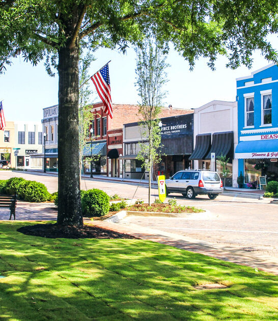 scenic south carolina trips ftr