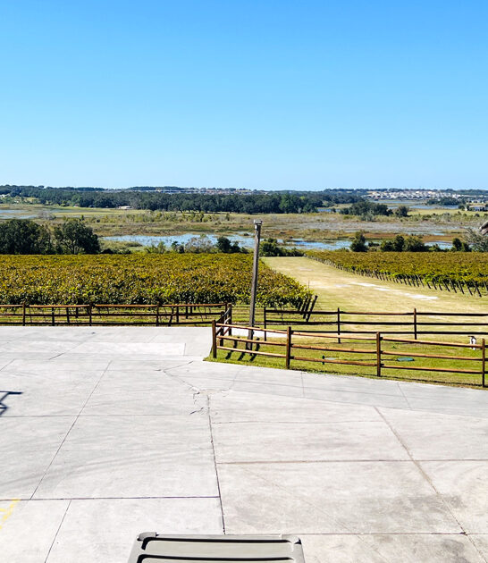 scenic vineyard wonderful florida ftr