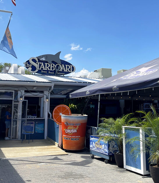 scrumptious crab cakes delaware ftr