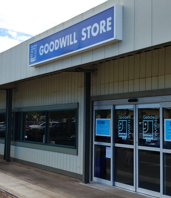 secondhand hawaii bags bargains ftr