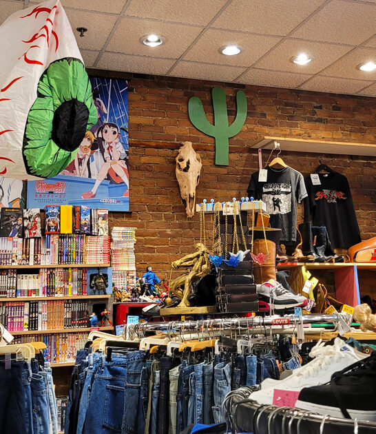 secondhand shop vermont dreams ftr