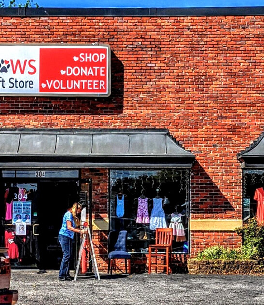 secondhand south carolina day ftr