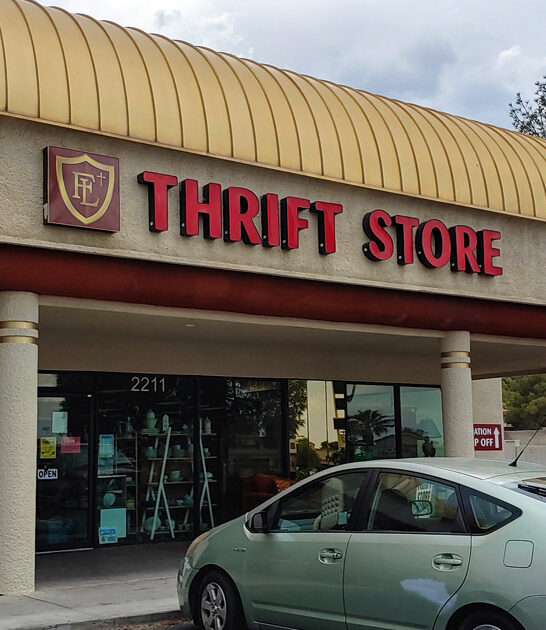 secondhand treasures nevada shop ftr