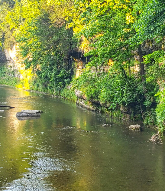 serene illinois state park ftr