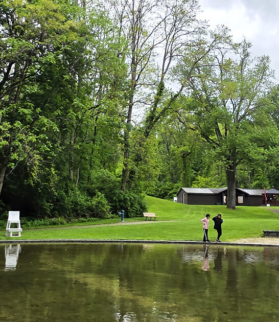 serene park new york ftr