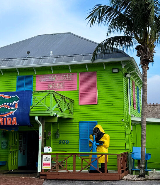 shack florida fish chips ftr