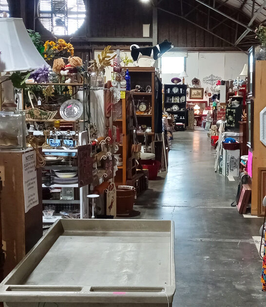 shockingly cheap treasures mississippi ftr