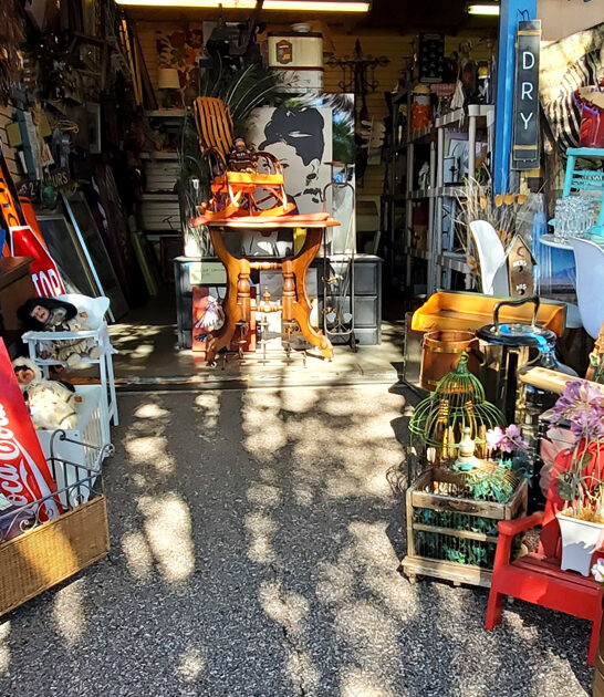 shop colorado markets massive ftr