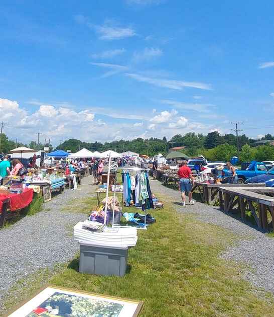 shopping market virginia ftr
