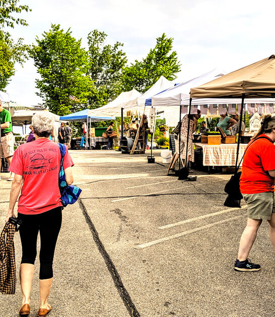 simple market new hampshire ftr