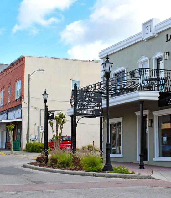 simplier life town florida ftr