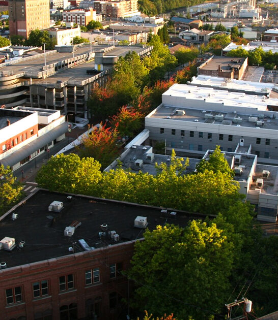 small budget washington city ftr