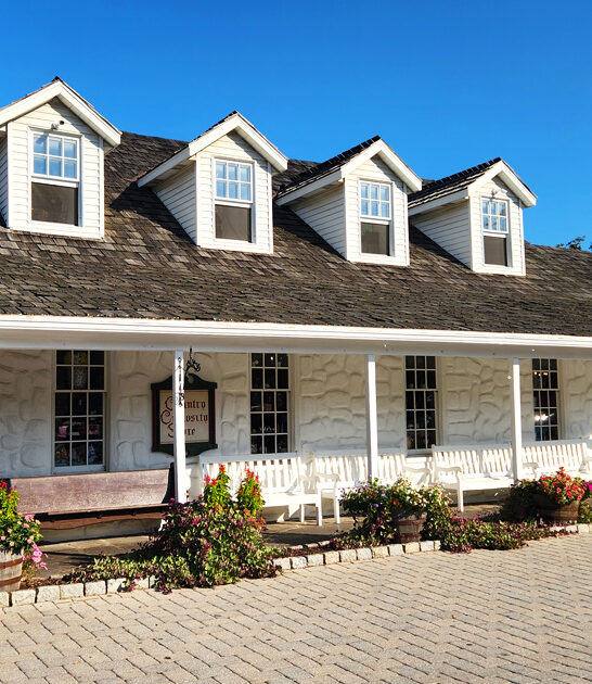 soup restaurant pennsylvania onion ftr