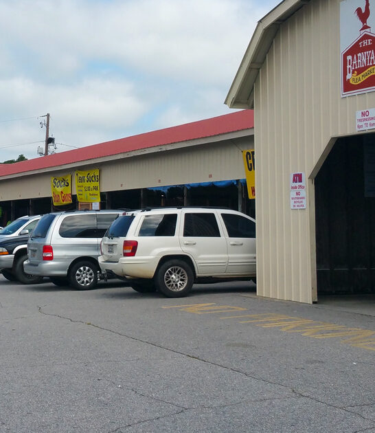 south carolina bargains fills ftr