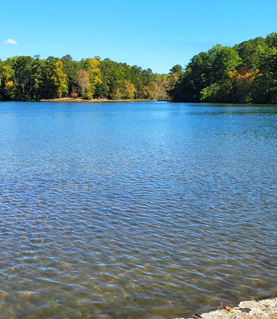 south carolina beautiful nature ftr