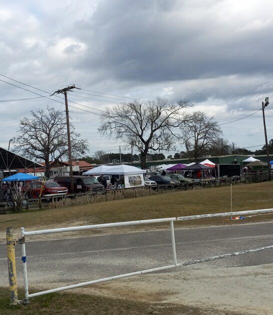 south carolina flea trunk ftr