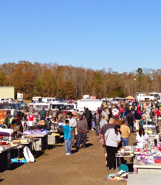south carolina gigantic bargains ftr