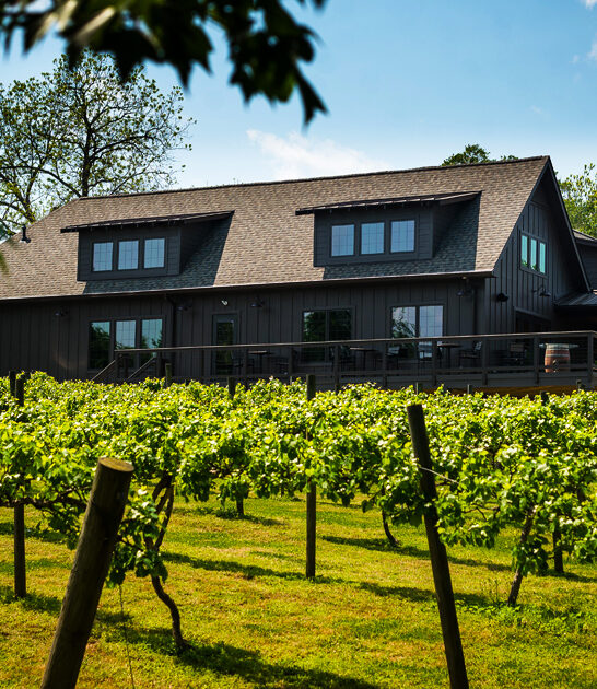 south-carolina-winery-trip ftr