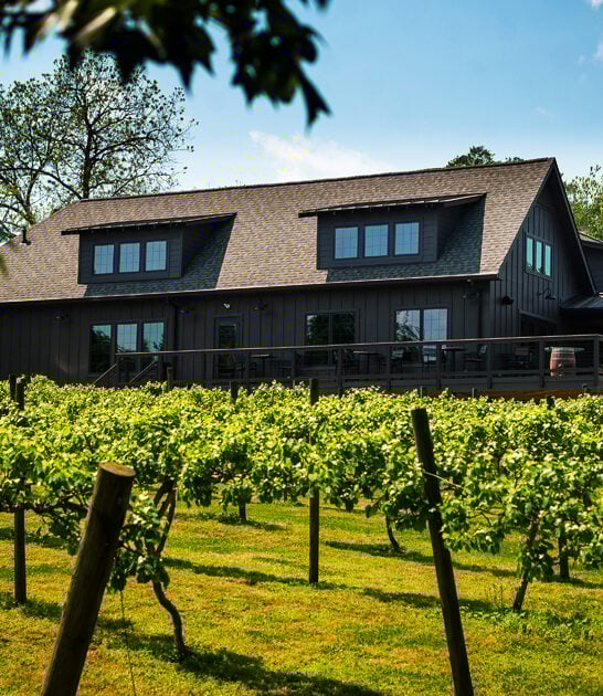 south-carolina-winery-vineyard ftr