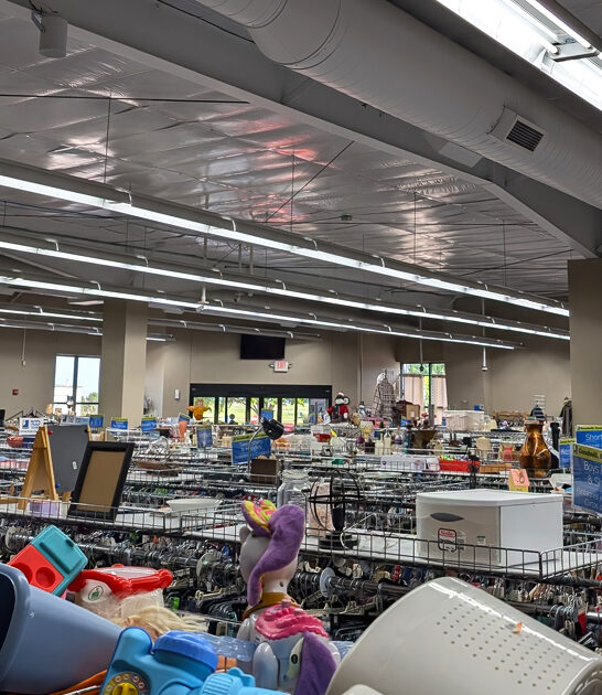 south dakota enormous thrift ftr