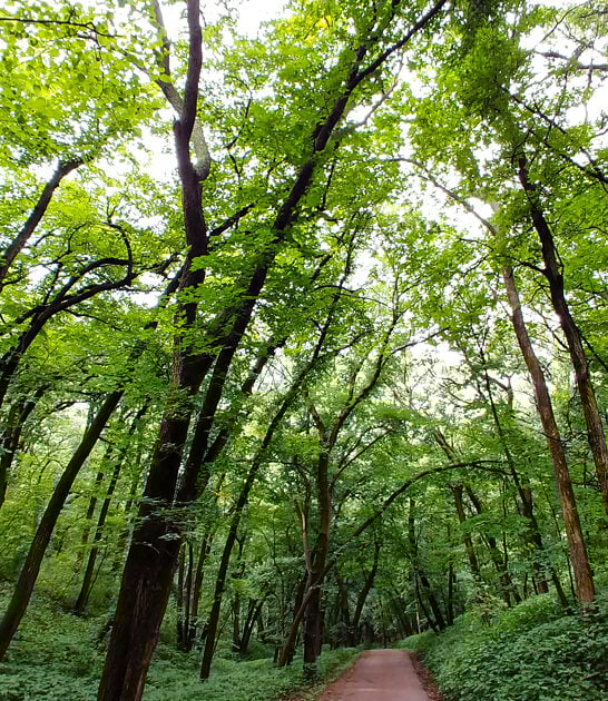 south dakota state park ftr