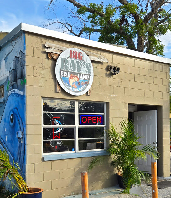 special grouper sandwich florida ftr