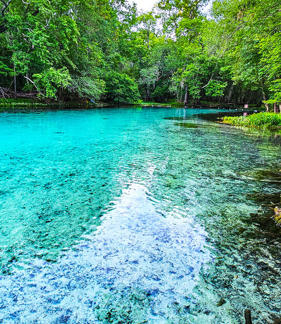 splendid state parks florida ftr