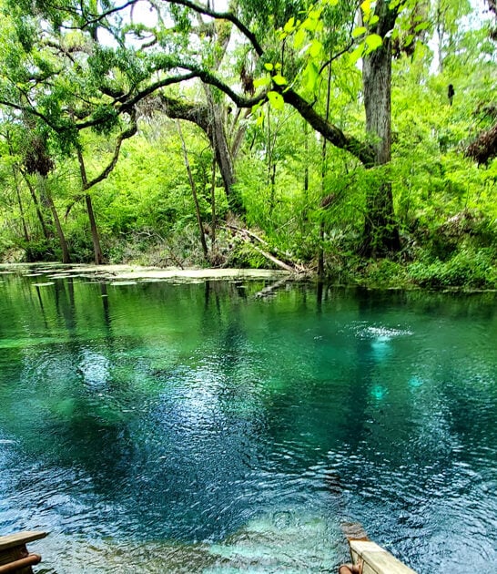 springs hidden florida beautiful ftr