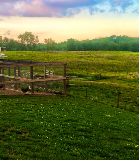 state beautiful ohio park ftr