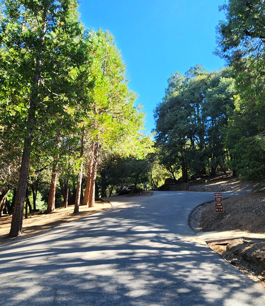 state california hidden park ftr