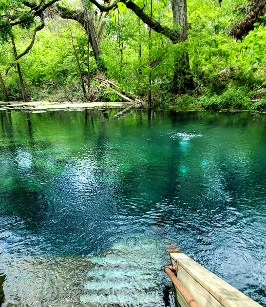 state florida fascinating park ftr
