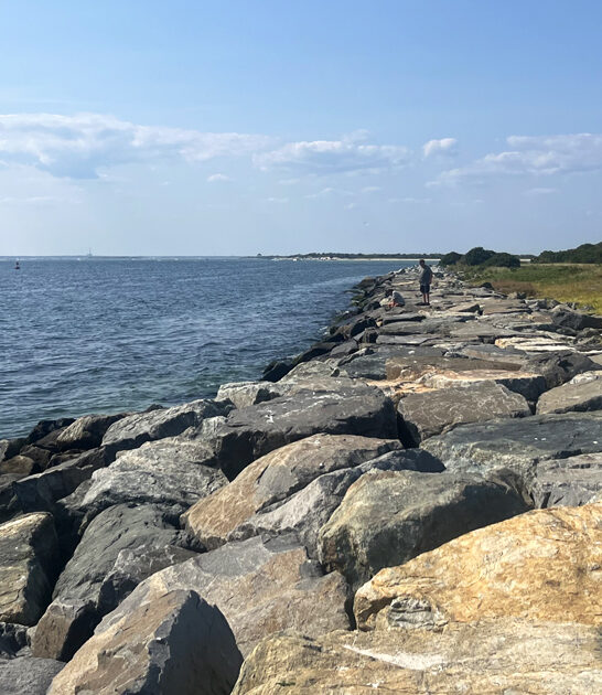 state new jersey park ftr