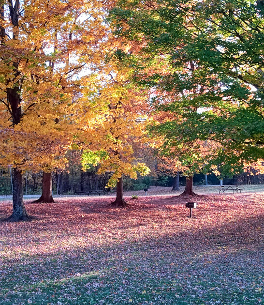 state ohio picturesque park ftr