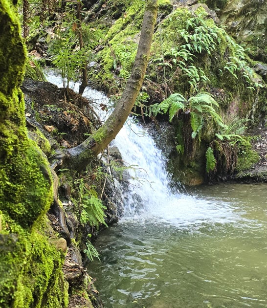 state park california getaways ftr