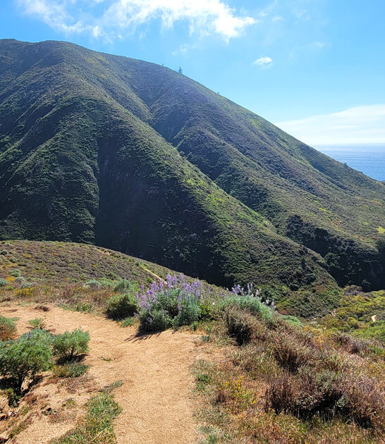 state park california serene ftr