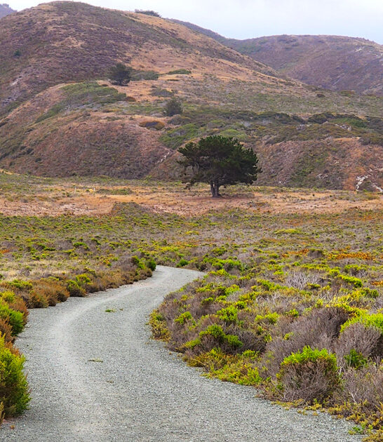 state park california think ftr