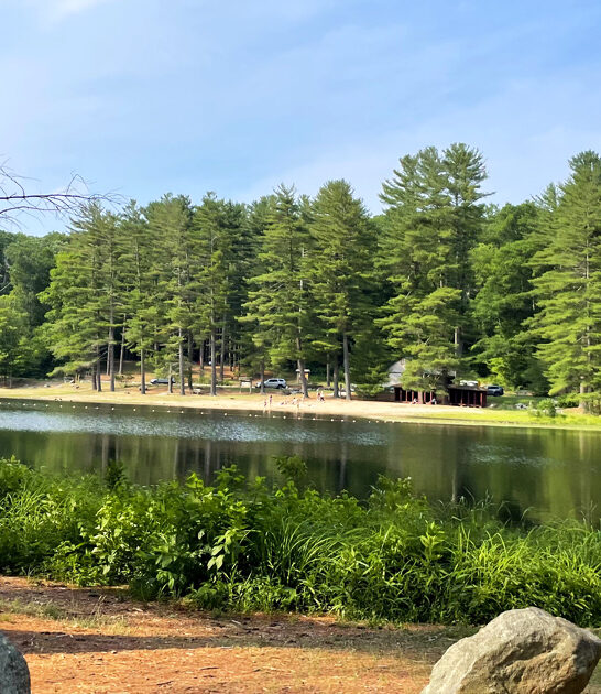 state park connecticut postcard ftr