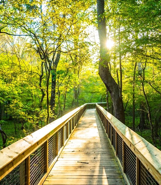 state park dream florida ftr